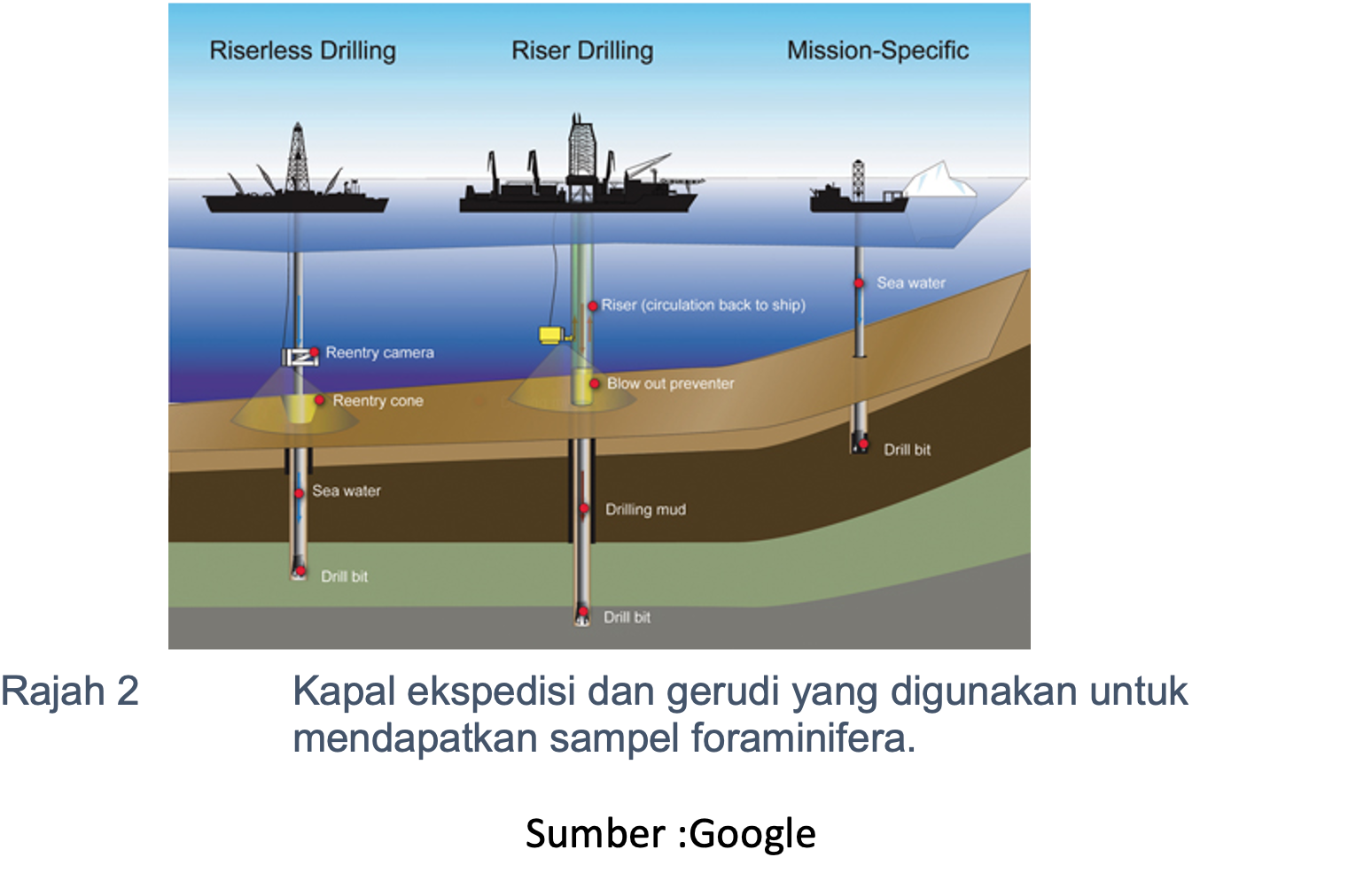 Foraminifera: Mengesan Jejak Masa Dalam Lautan - e-estidotmy