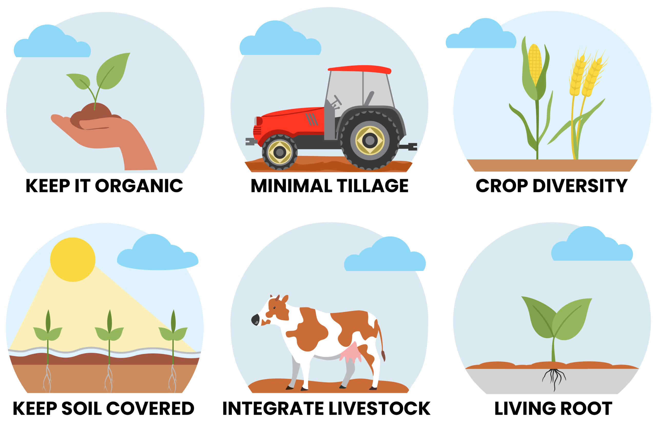Zero Carbon: How We Can Make a Greener Future Together - e-estidotmy